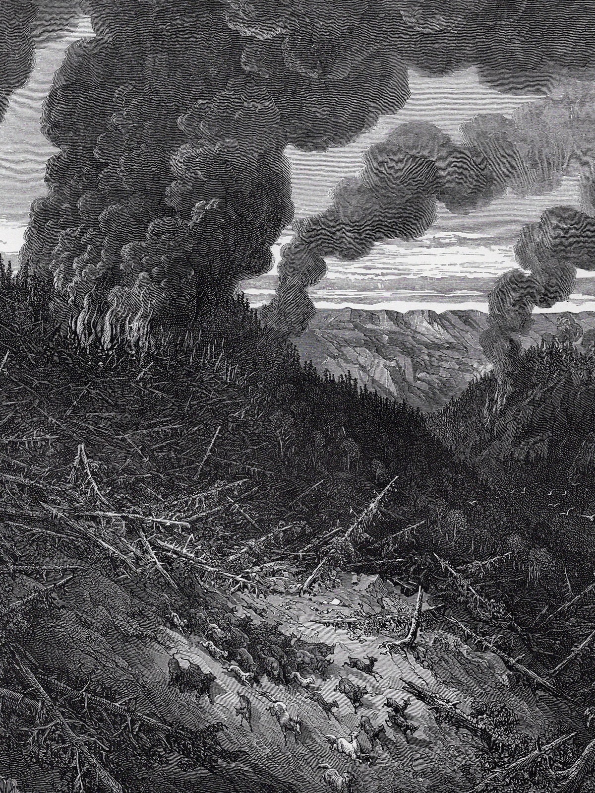 1800s Gustave Dore Woodcut "atala, the Raging Forest Fire" Custom ...