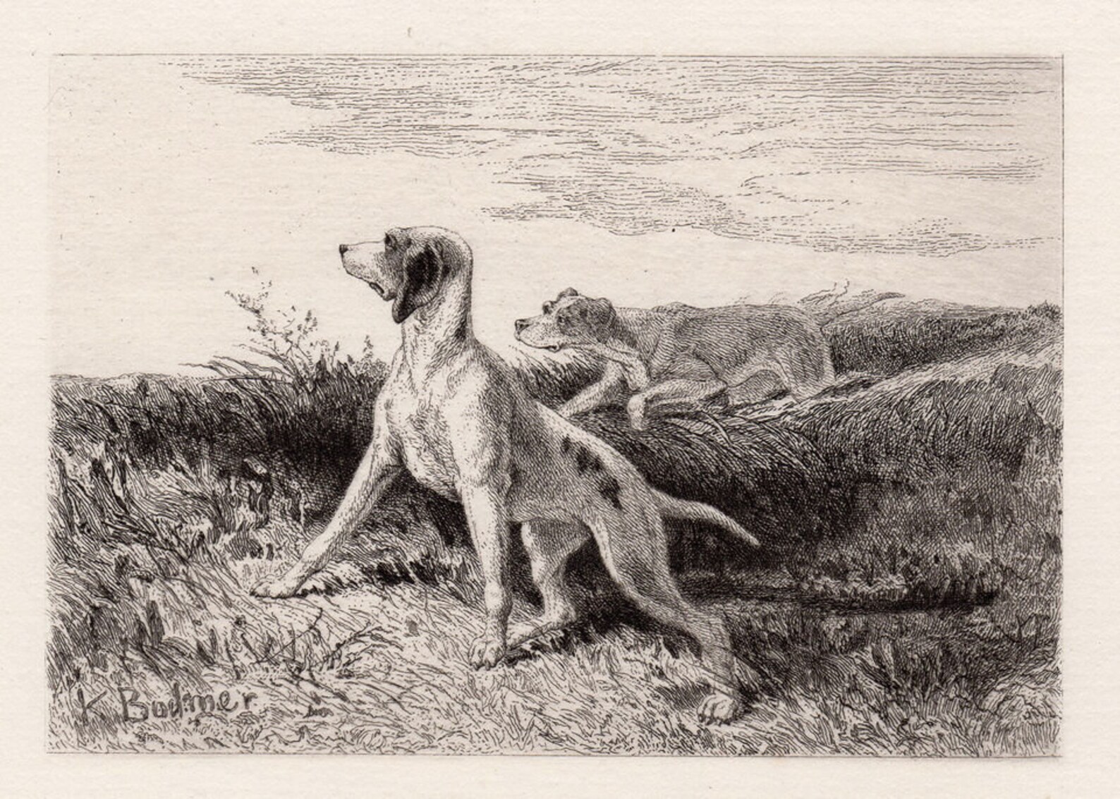 1800s BODMER ORIGINAL Etching "dogs" Gallery Framed COA - Etsy