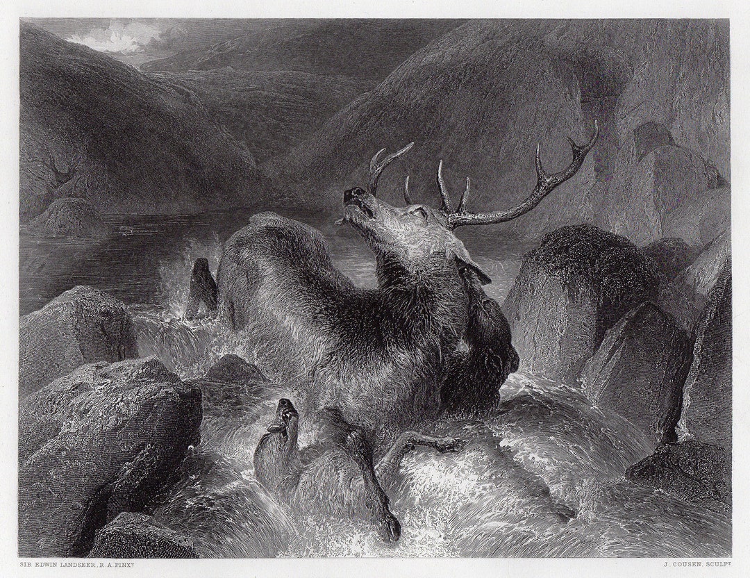 1800s Edwin Henry Landseer Antique Engraving the Fading Stag Custom ...