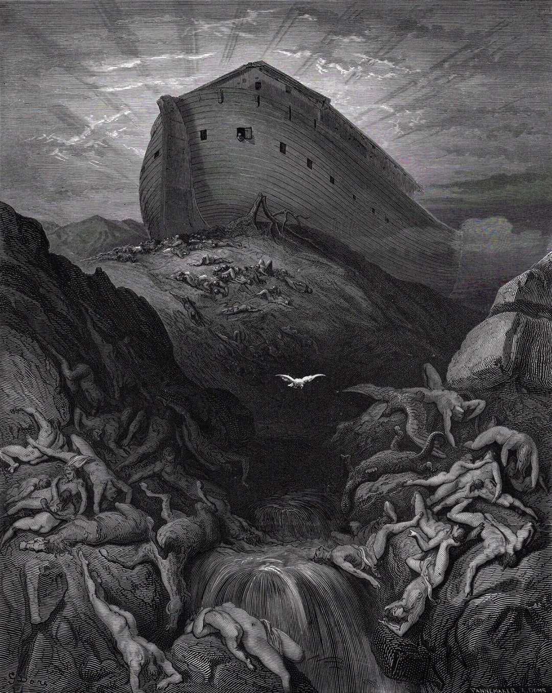 1800s Gustave DORE Woodcut "noah Sent Out A Dove" Gallery Framed SIGNED ...