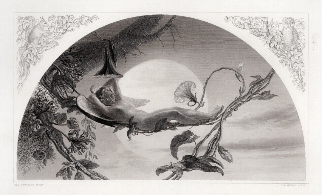 Henry James TOWNSEND 1800s Antique Engraving "ariel" SIGNED Framed COA ...