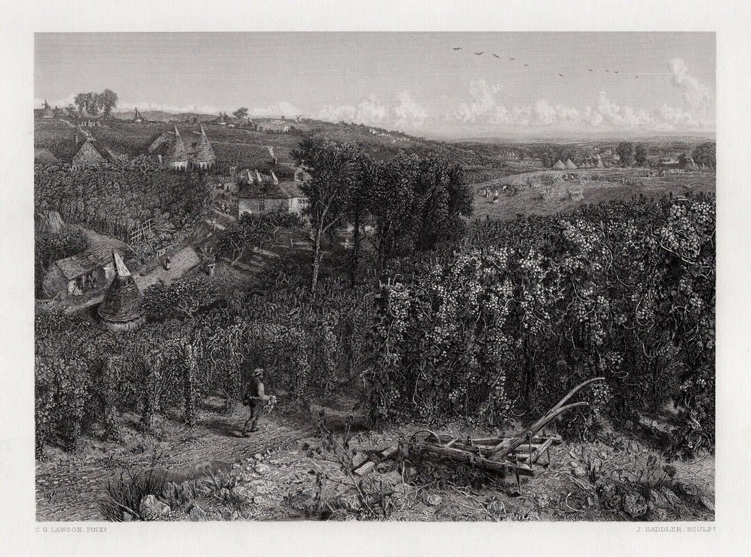 1800s Cecil Gordon Lawson Engraving "garden Landscape" Custom FRAMED ...