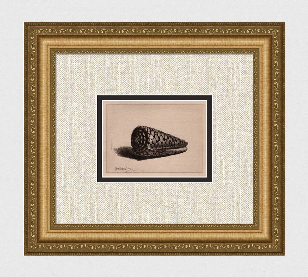 Framed 1800s Rembrandt Etching B159 "the Shell" ORIGINAL DURAND Signed ...