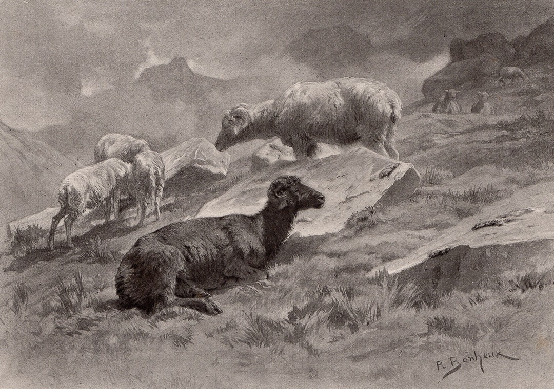 1800s Rosa BONHEUR Engraving "mountain Sheep" Framed SIGNED COA - Etsy