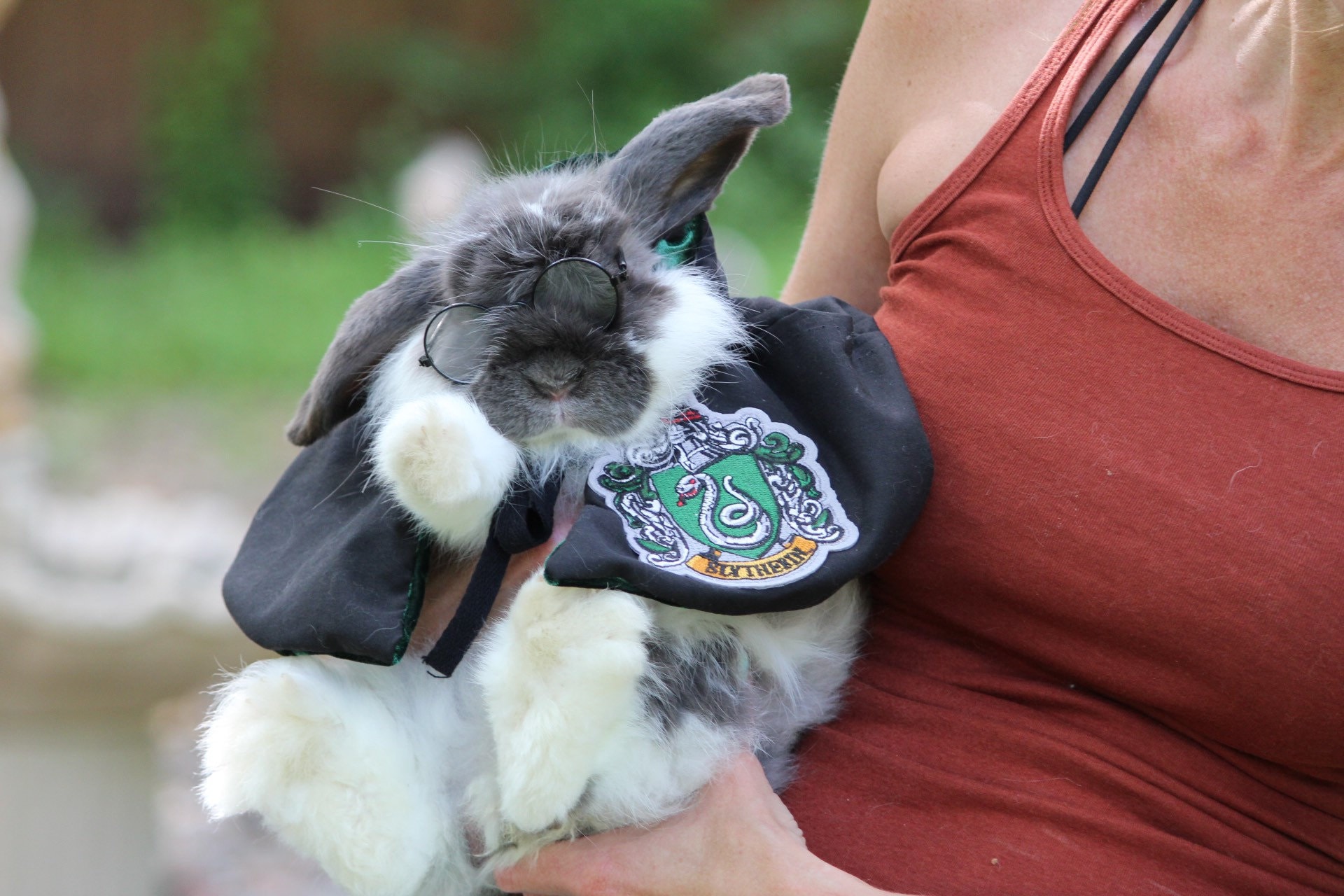 White Rabbit Batman Costume