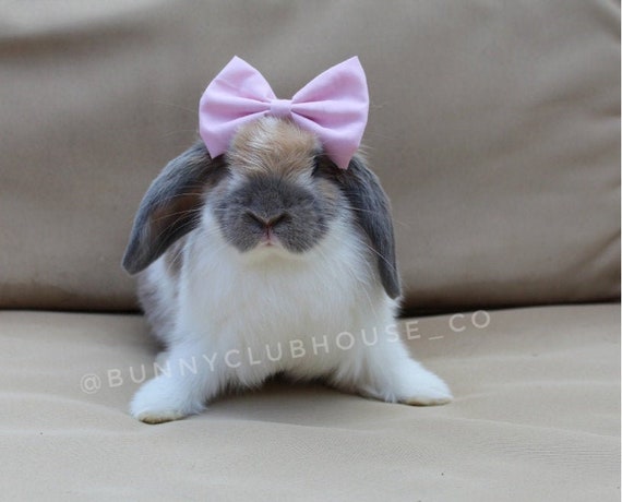 Baby Satin Rabbit