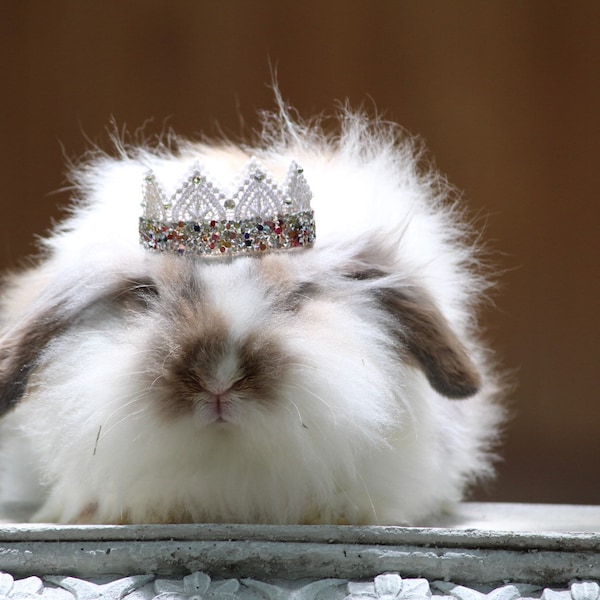 Rabbit and Crown - Etsy