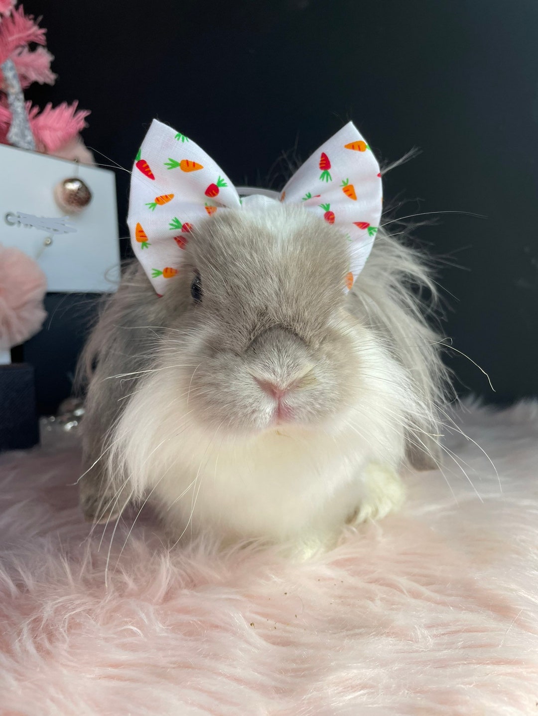 Hop’ Pet Bow for Rabbits, Dogs, Cats, Bunny & Small Pets. Spring ...
