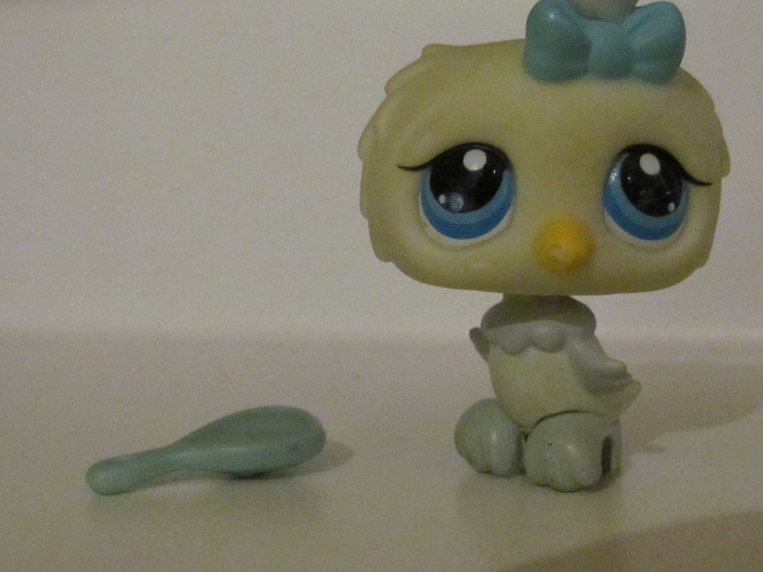 Littlest Pet Shop Owl Pet Vintage Hasbro With Brush LPS - Etsy