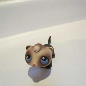 Littlest Pet Shop 33 Ferret Brown Blue Dot Eyes Green LPS Weasel ...