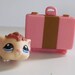 Hasbro Littlest Pet Shop Prized Pets Figure Guinea Pig Hamster Suitcase ...