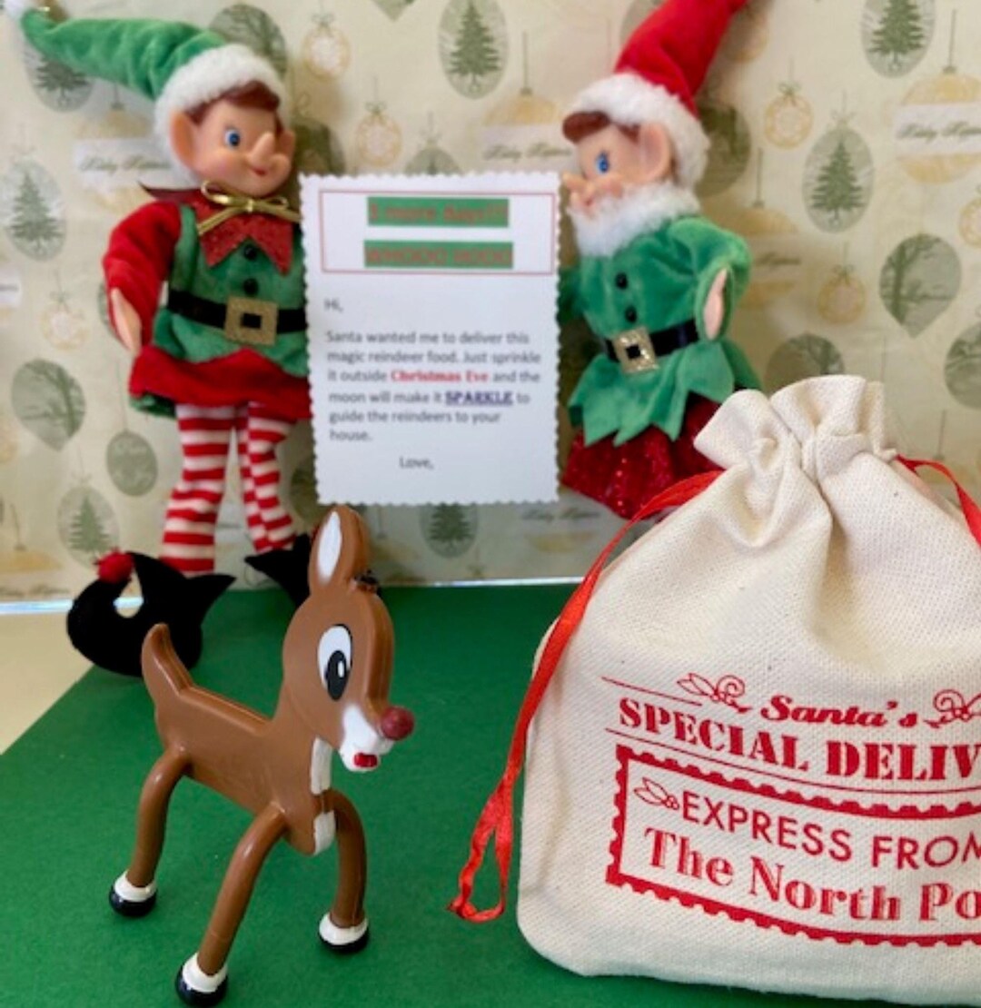 Elf Size Rudolph Christmas Eve "find My House" Set With Magic Outside ...