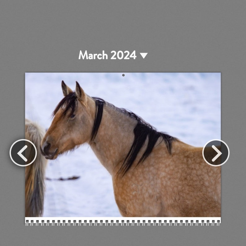 Horses 2024 Calendar - Etsy