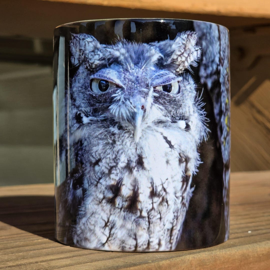 NEW but First, Coffee Cute Screech Owl Coffee Mug to Get Your Day Going ...