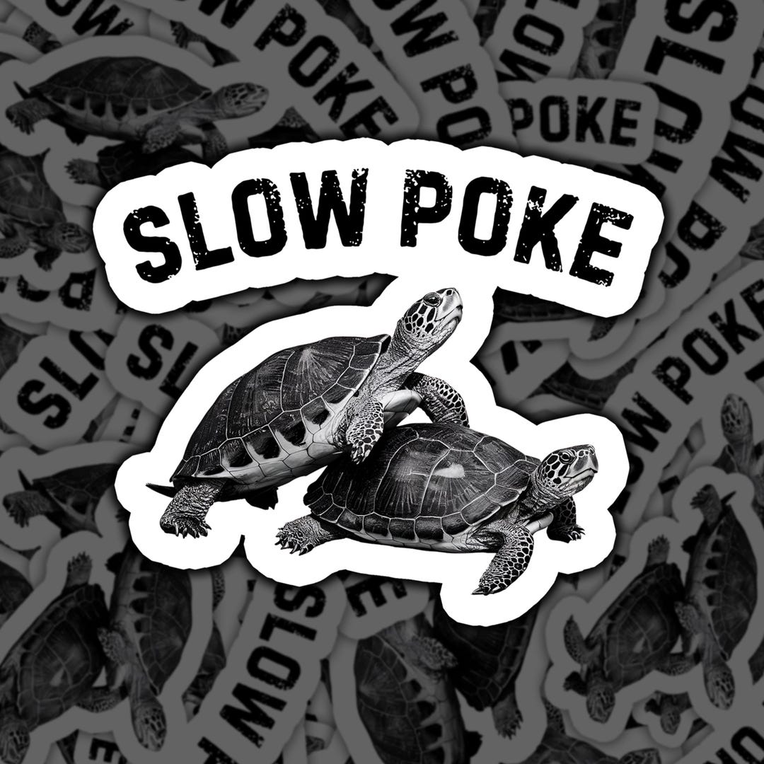 Slow Poke Turtle, Sticker, Slowpoke Design, Turtle Vinyl, Quirky Turtle ...