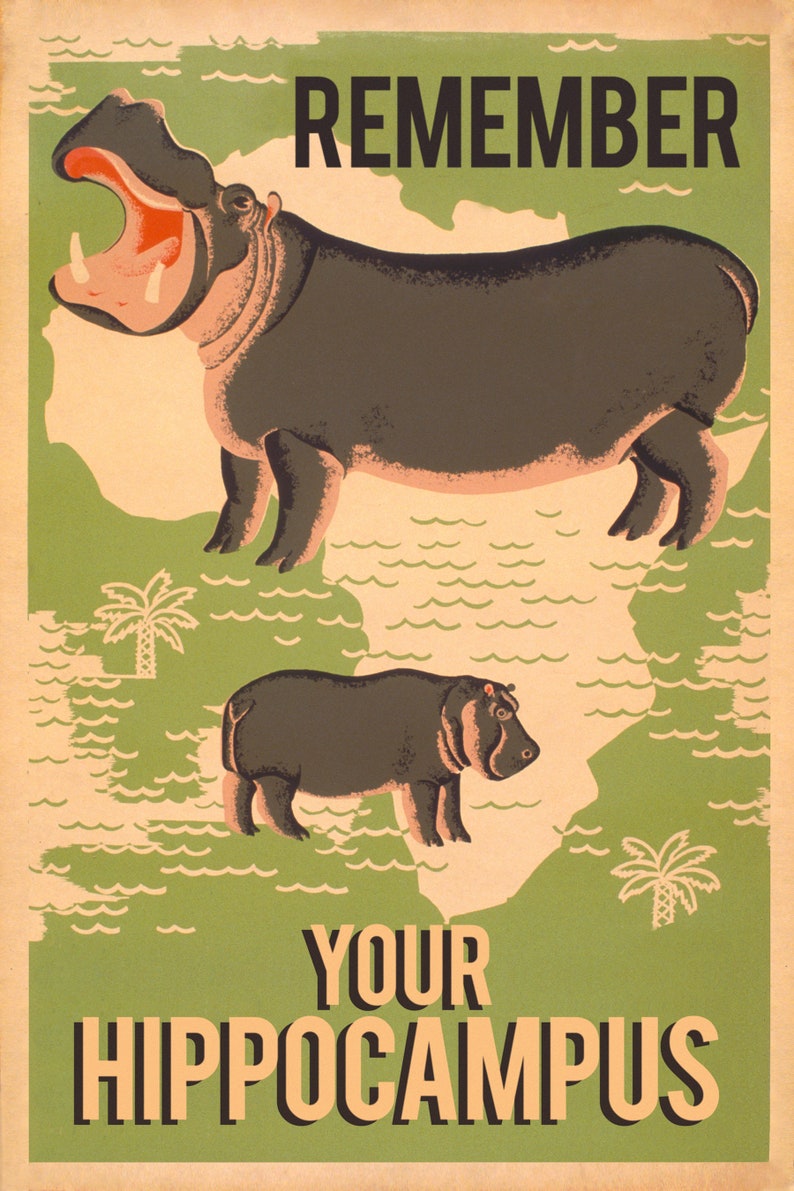 Hippo Poster - Remember Your Hippocampus - Etsy
