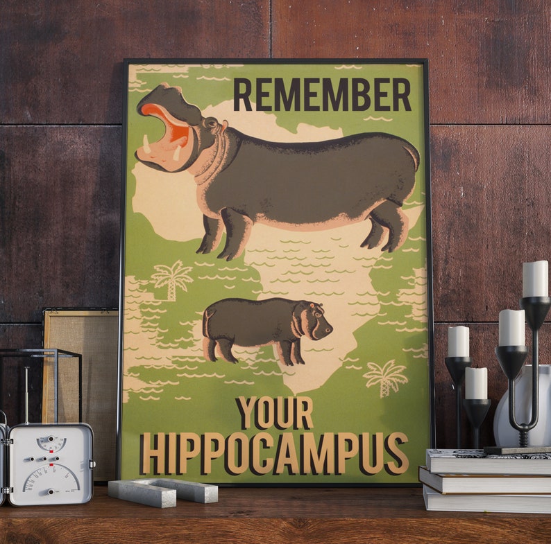 Hippo Poster - Remember Your Hippocampus - Etsy