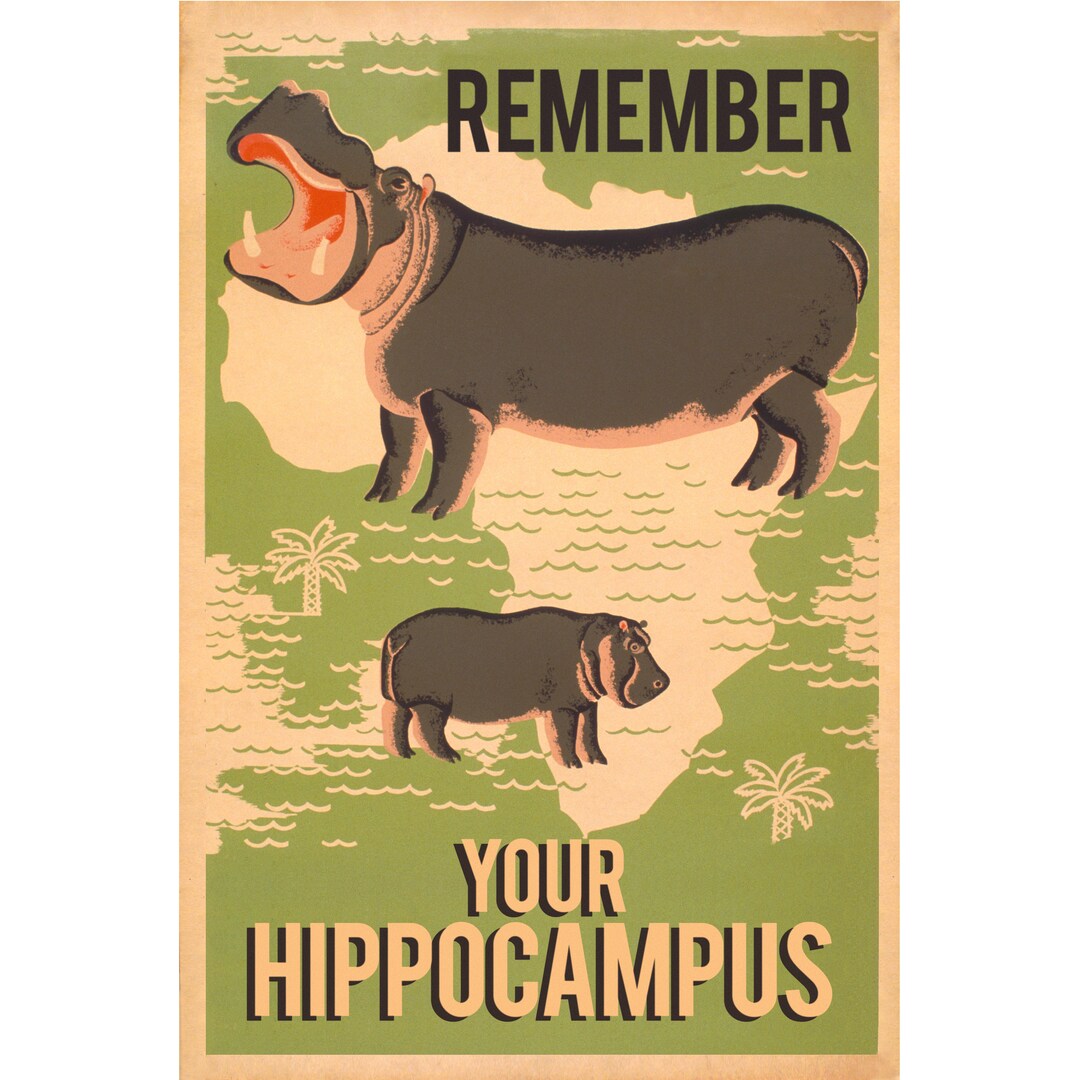 Hippo Poster - Remember Your Hippocampus - Etsy