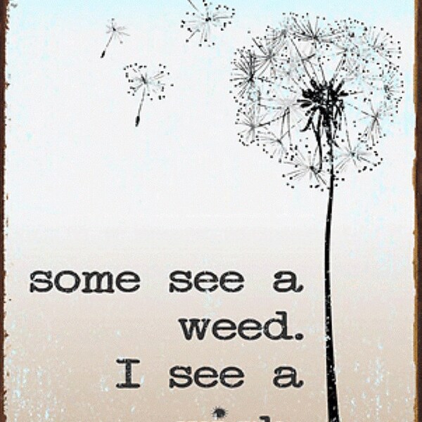 Dandelion Sign - Etsy