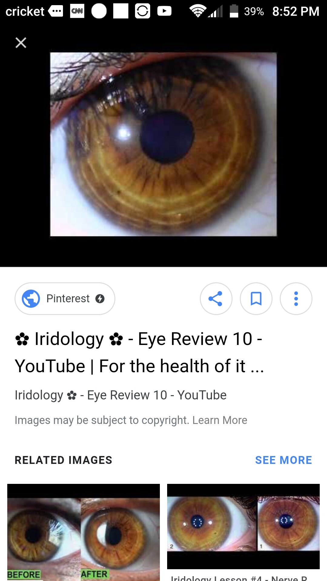 Simplistic Iris Overview or Follow-up Irises - Etsy