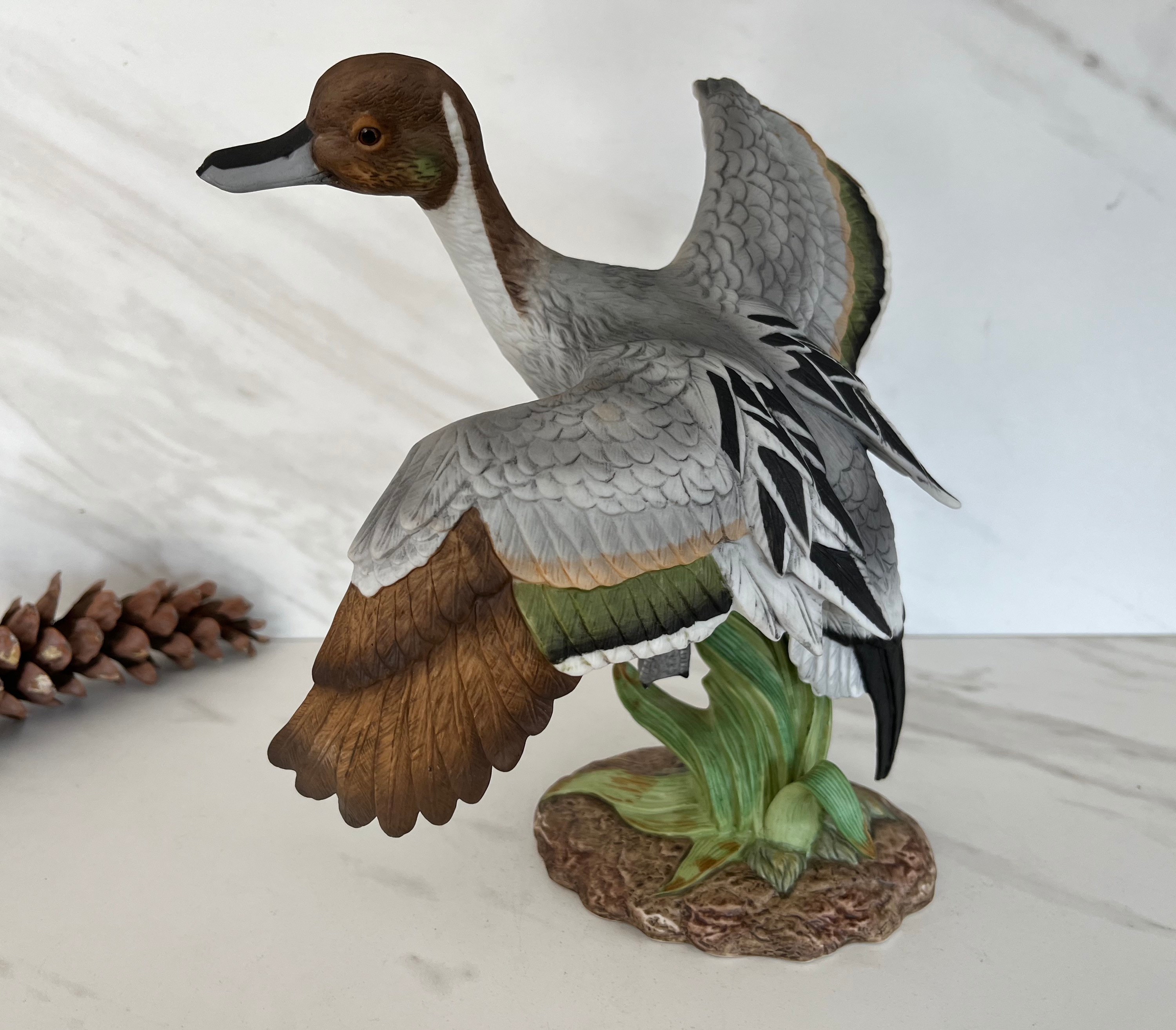 Standing Pintail Mounts