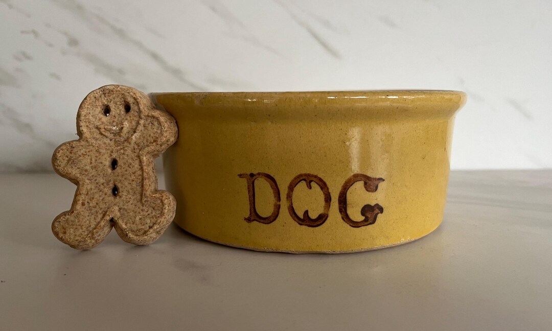 Yellow Ware DOG Feeding or Water Bowl. Ransbottom Robinson Pottery Co ...