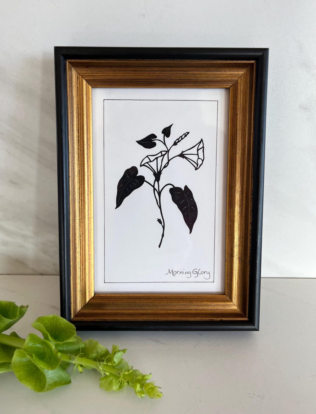 Scherenschnitte Scissor Cutting Artwork Morning Glory Scissor Cut ...