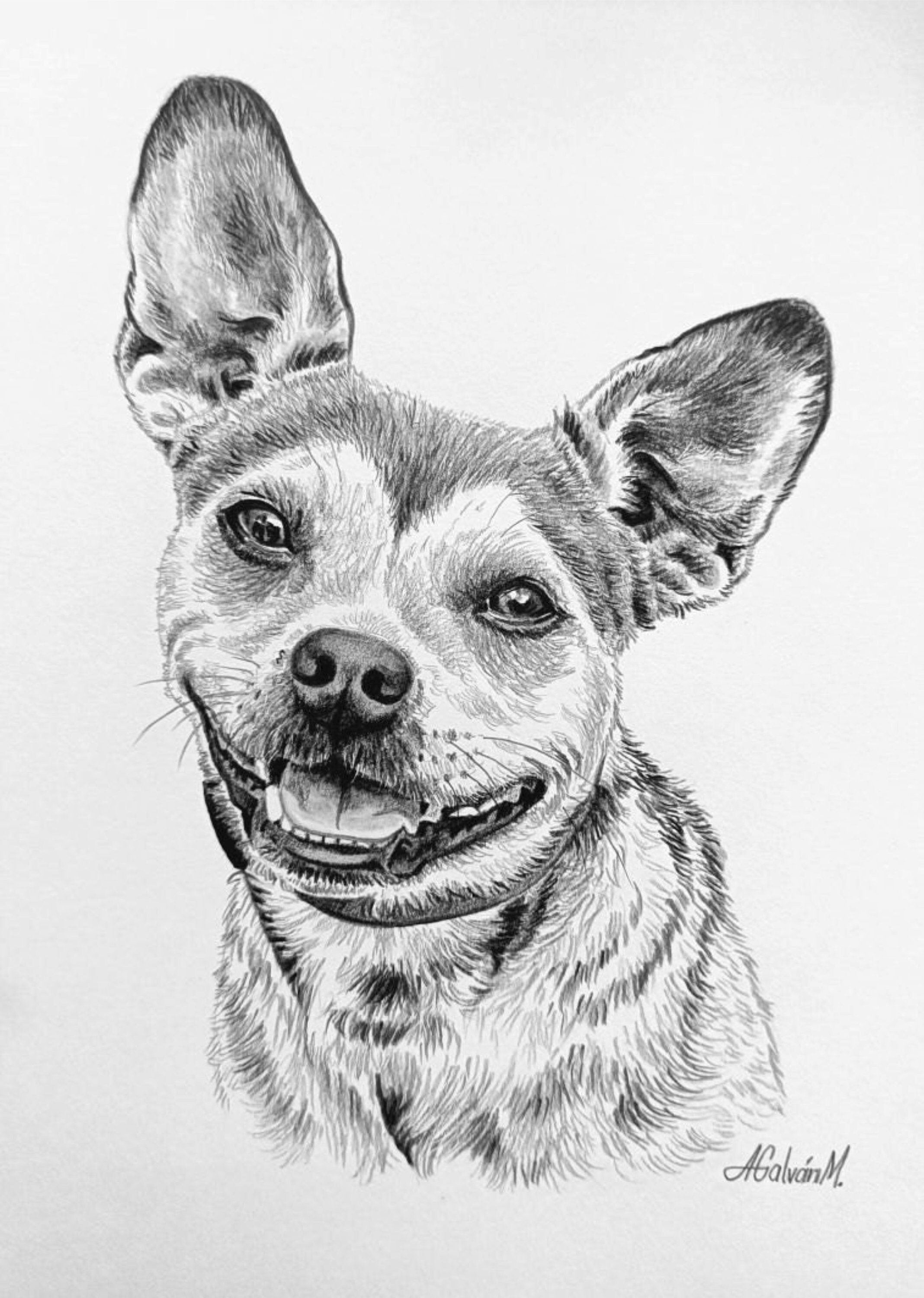 Charcoal Drawings Of Dogs