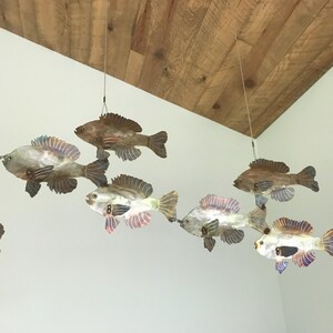 Bluegill School Mobile, Stainless Steel Sculpture, Bluegill Art, Fish ...