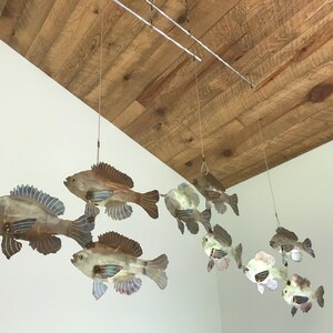 Bluegill School Mobile, Stainless Steel Sculpture, Bluegill Art, Fish ...