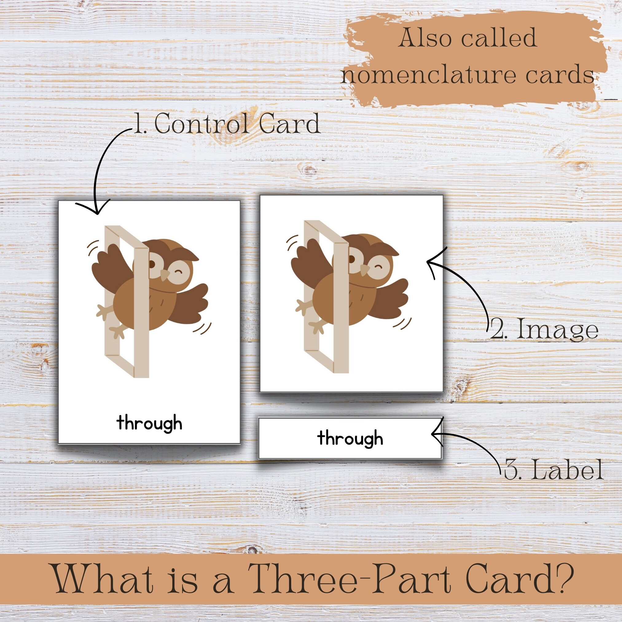 Preposition Picture Cards owl, Homeschool Learning, Montessori Language ...