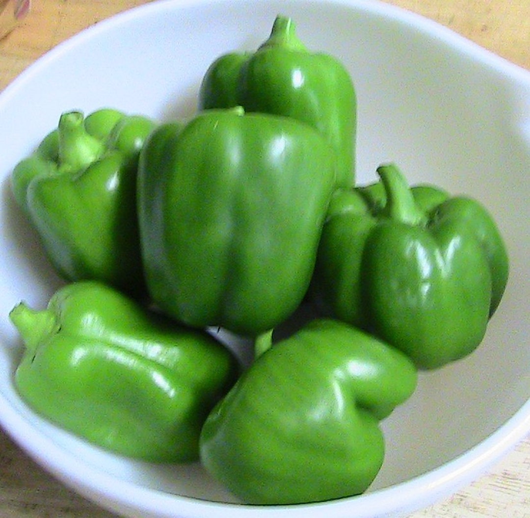 Big Dipper Sweet Bell Pepper, 10 Seeds NON-GMO Organically Grown - Etsy