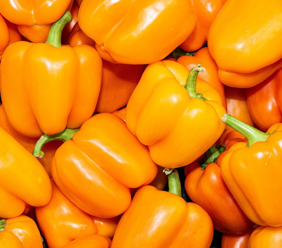 Orange Sun Pepper, 20 Seeds NON-GMO Organically Grown - Etsy