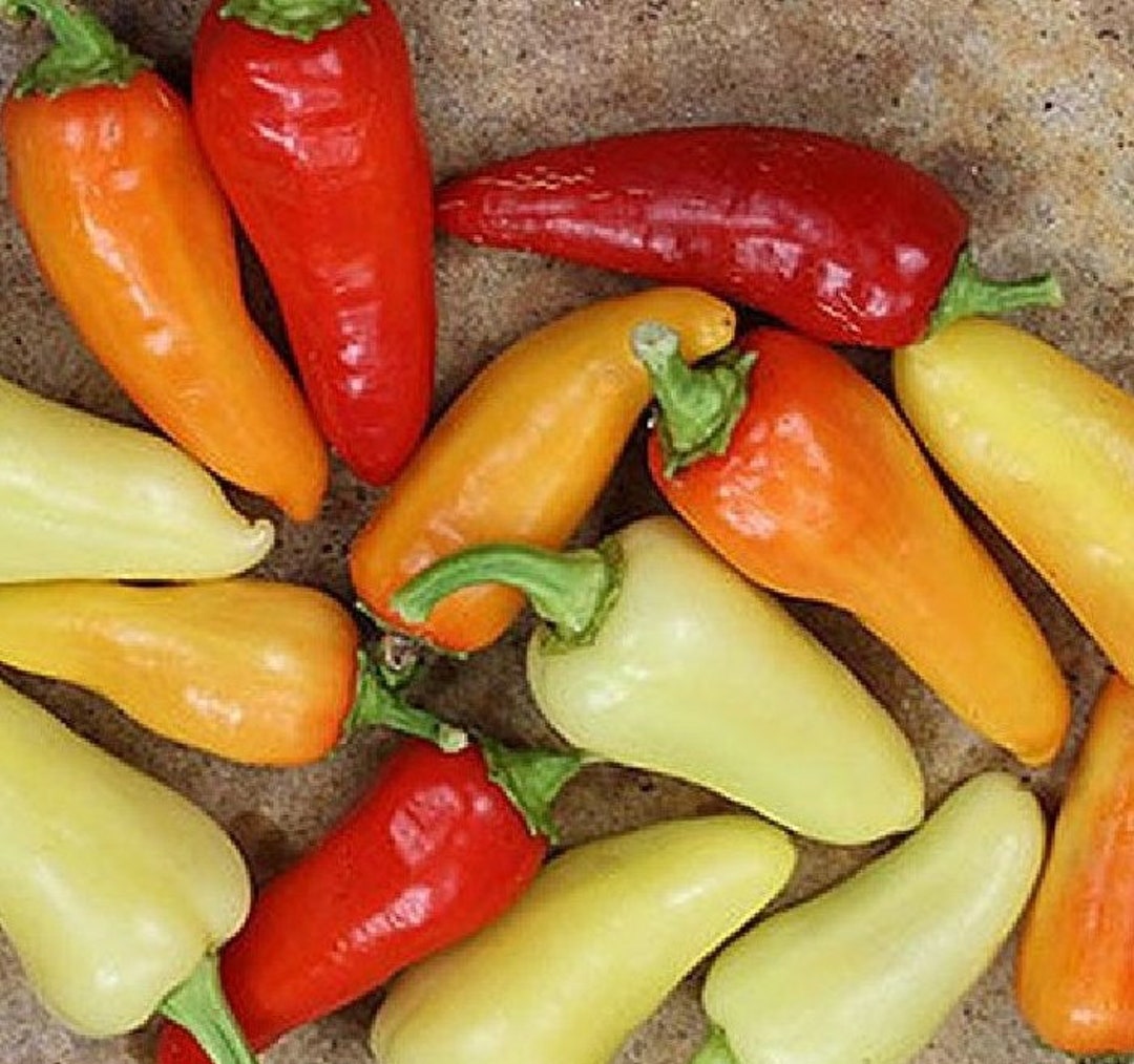 Santa Fe Grande Hot Pepper, 25+ Seeds HOT! NON-GMO Organically Grown - Etsy