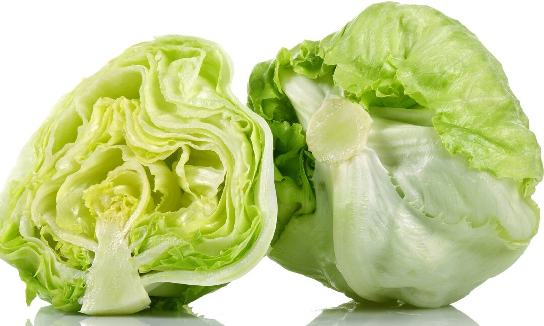 Iceberg Lettuce, 200 Seeds NON-GMO Organically Grown - Etsy