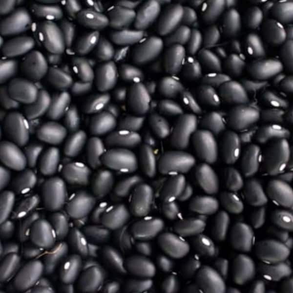 Black Turtle Beans - Etsy