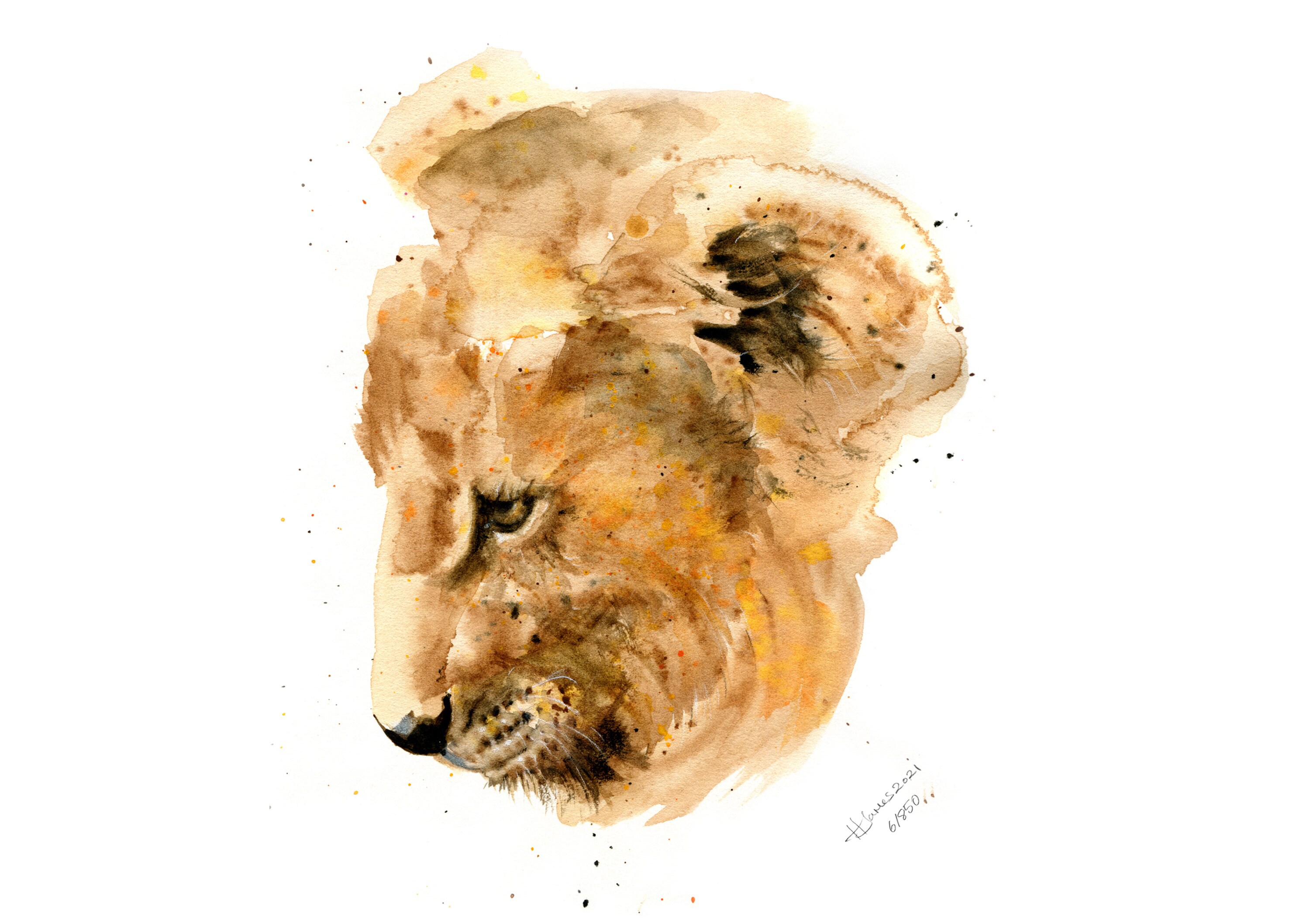 Lion Cub Watercolour Painting; Wildlife Painting; Animal Painting; Lion ...
