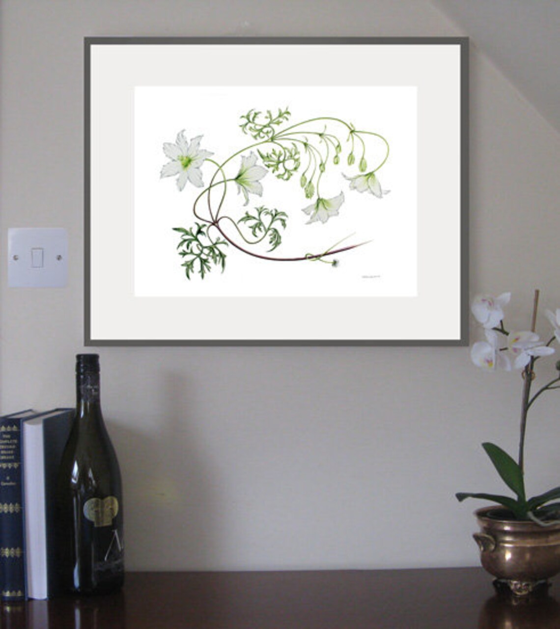 Clematis Art Print Floral Art Botanical Art Print White - Etsy