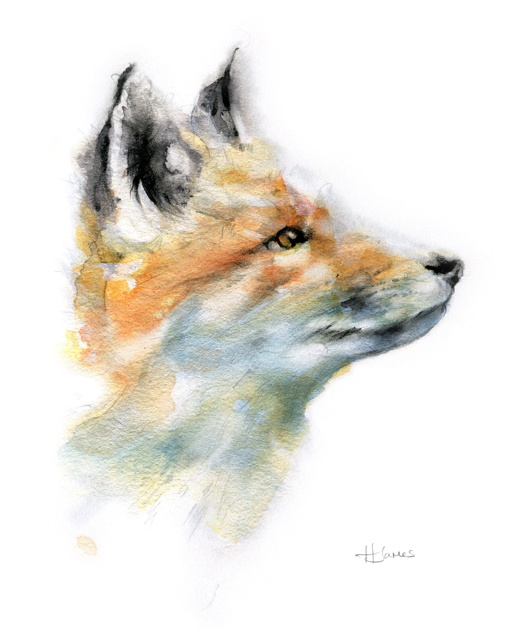 Fox Cub Fine Art; Fox Watercolour Painting; Fox Fine Art Print; Fox Watercolour; Fox Portrait ...