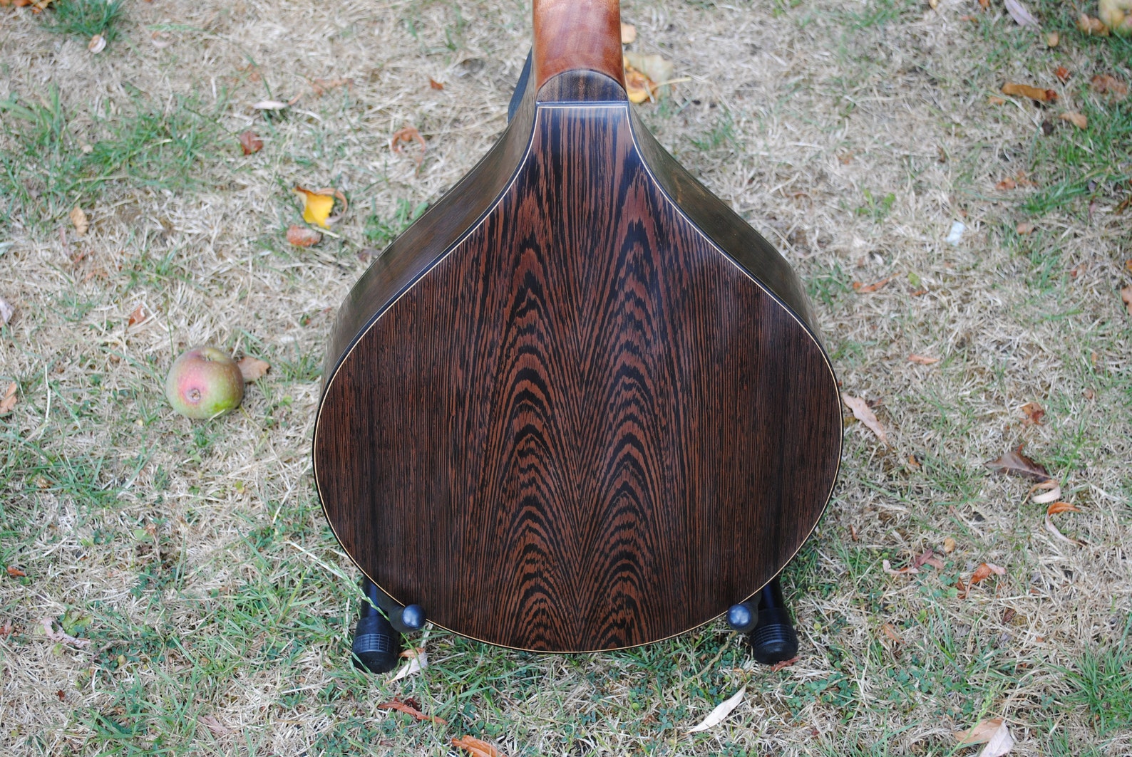 Irish Cittern - Etsy
