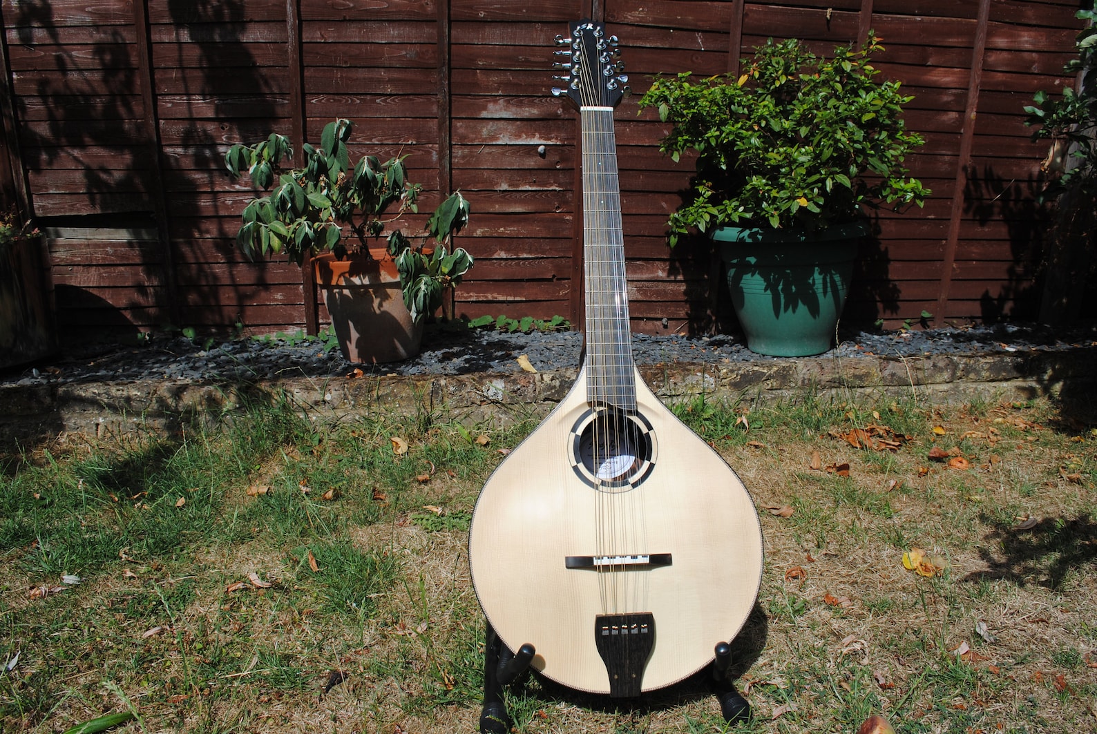 Irish Cittern - Etsy