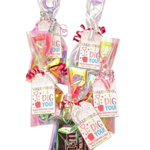 Personalized Valentine’s Day Candy Shovel – "i Dig You!" Gift With ...