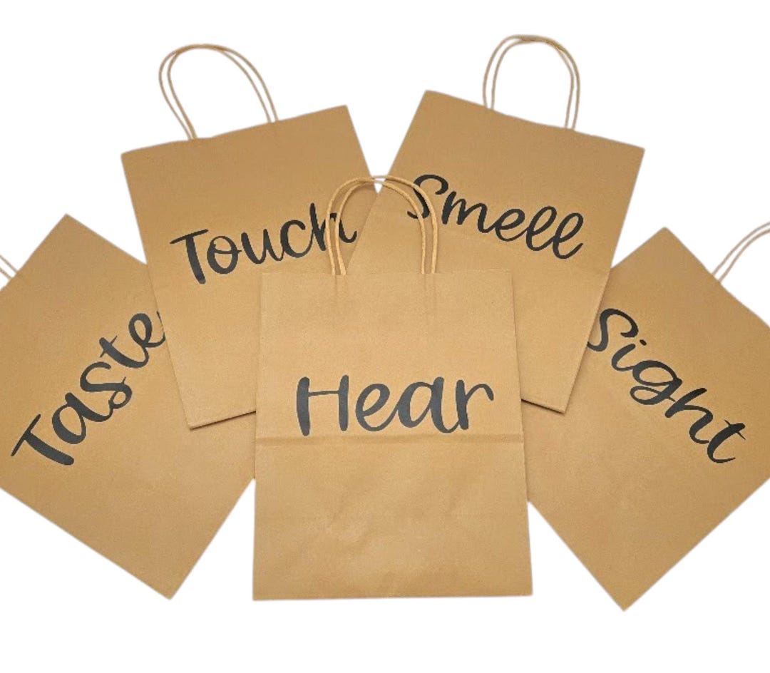 5 Senses Gift Bags Bundle | Touch, Smell, Hear, Sight and Taste ...