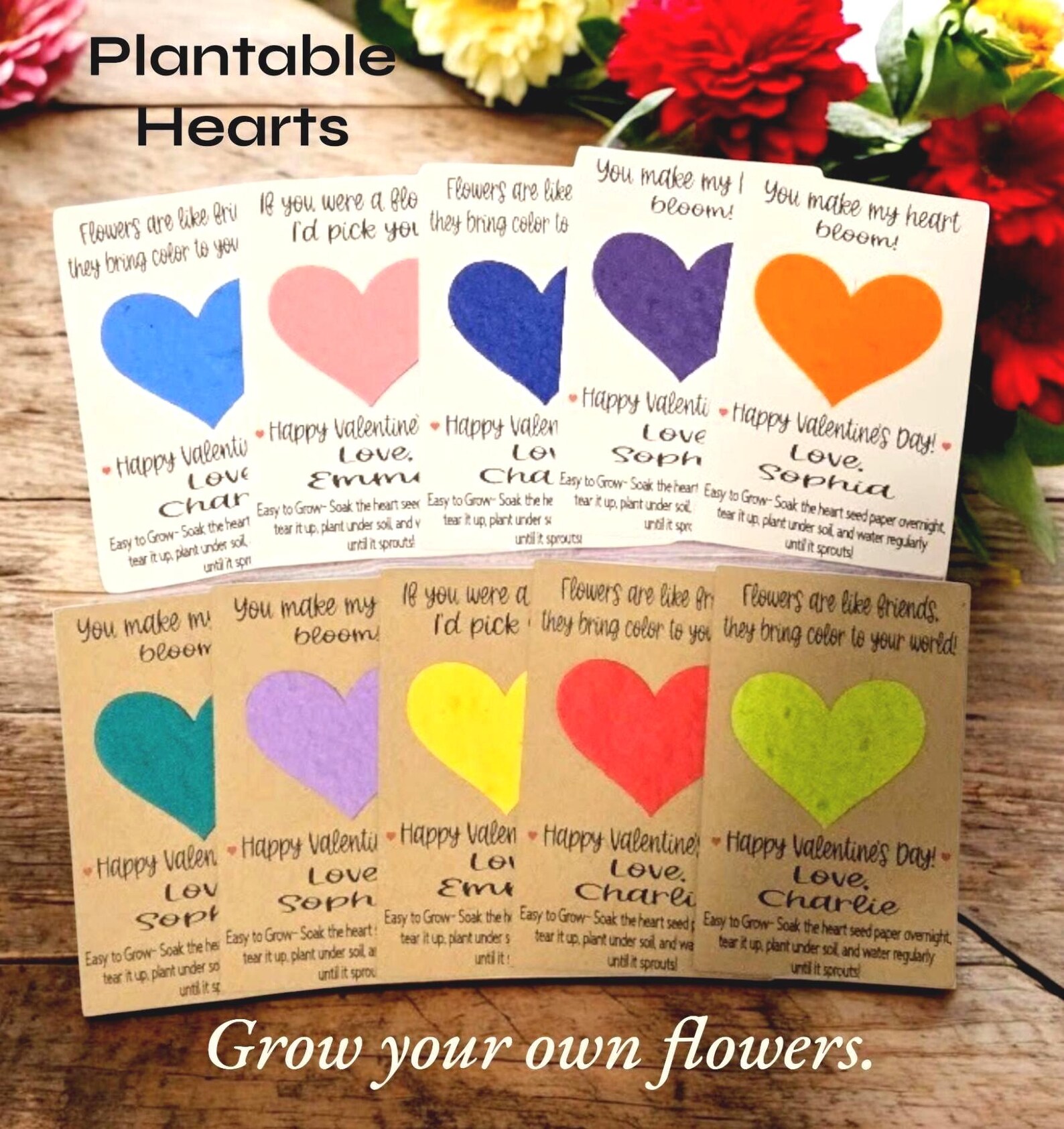 Seed Heart Plantable Valentines - Eco-friendly Valentine’s Day Cards ...