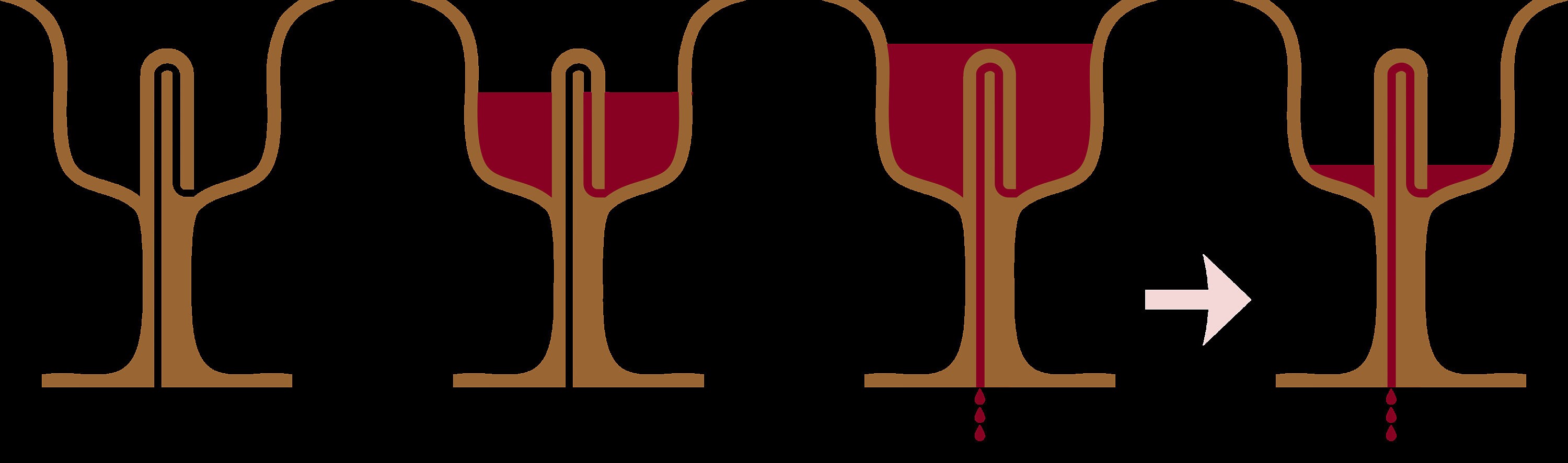 HIGH QUALITY - Pythagorean Cup Geometric Period - Etsy