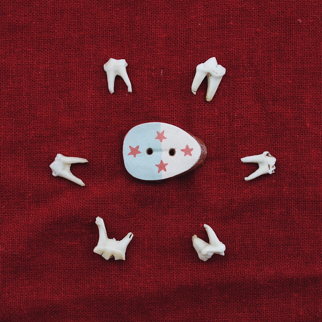 Red and Blue Star Avocado Pit Button - Etsy