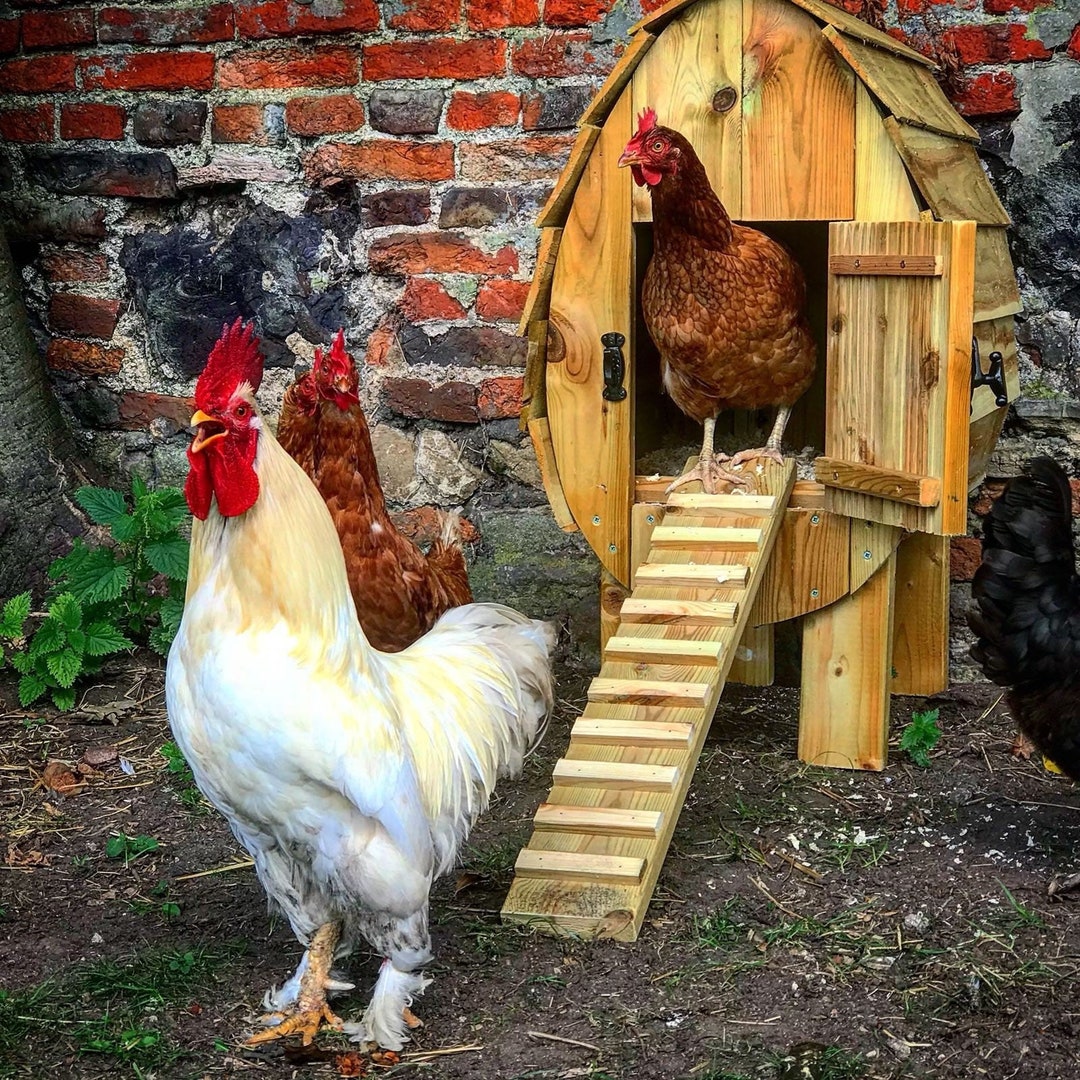Nesting Pods. Small Coop/hut for Hens/chickens to Lay Eggs or - Etsy