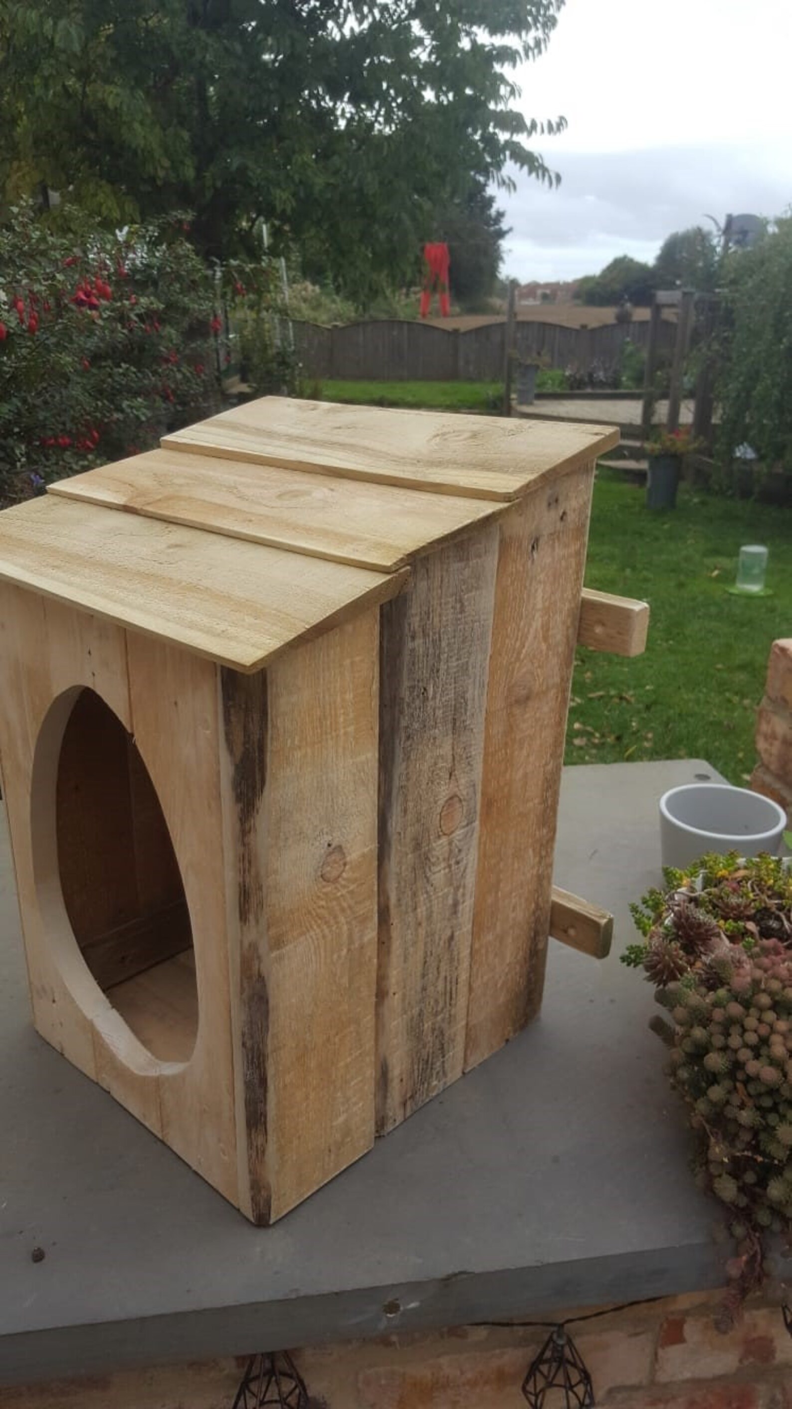 Wall mounted chicken nesting box. Ideal for free range | Etsy