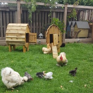 Nesting Pods. Small Coop/hut for Hens/chickens to Lay Eggs or Raise ...