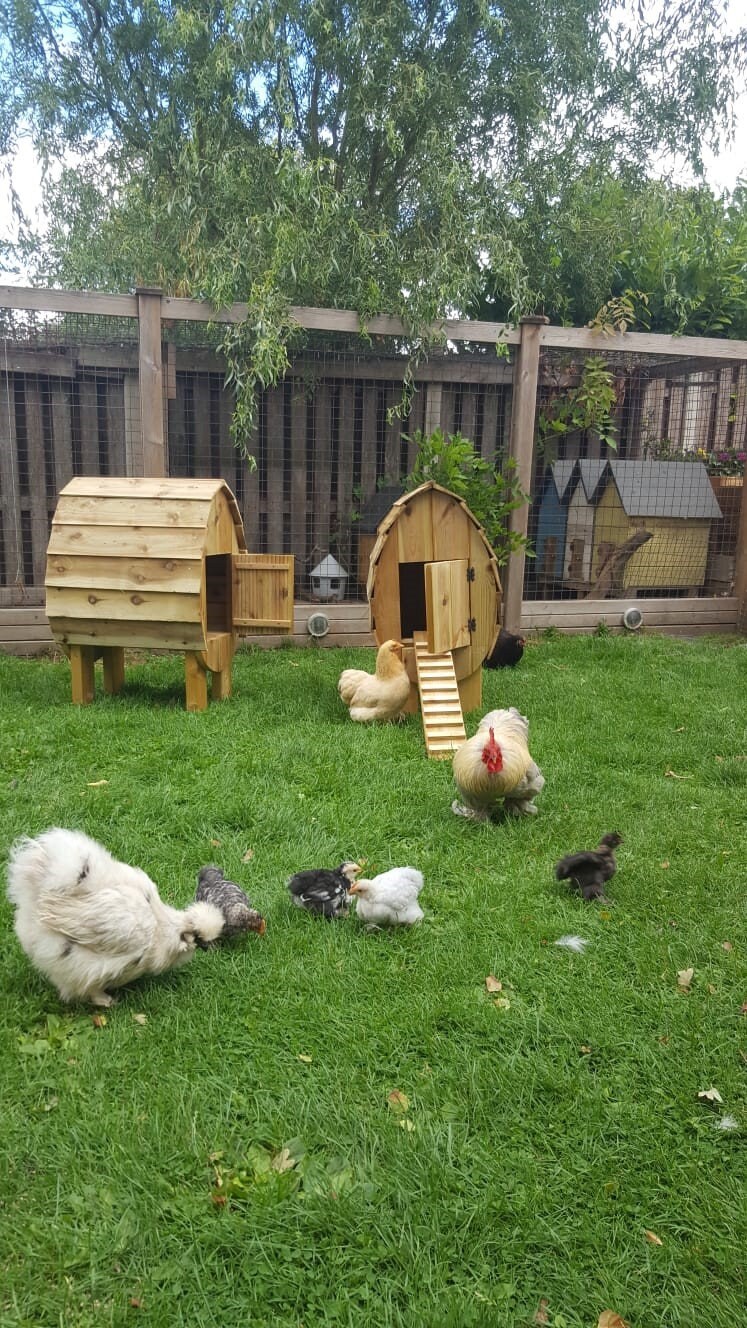 Nesting Pods. Small Coop/hut for Hens/chickens to Lay Eggs or - Etsy